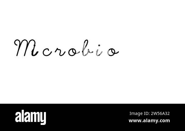Microbiology Decorative Handwriting Animation in Six Cursive and Gothic ...