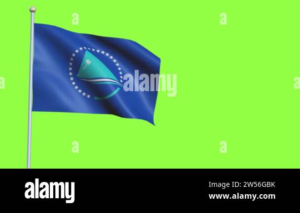 Pacific community flag Stock Videos & Footage - HD and 4K Video Clips ...