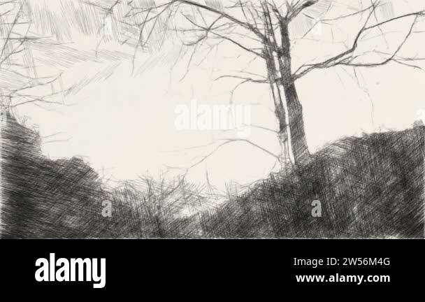 Dry art Stock Videos & Footage - HD and 4K Video Clips - Alamy