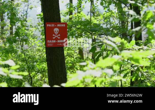 Warning notice tree Stock Videos & Footage - HD and 4K Video Clips - Alamy