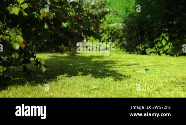 Oscillating garden sprinkler Stock Videos & Footage - HD and 4K Video ...
