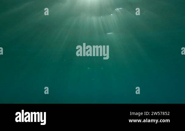 Water surface with waves on the sunset (Underwater shot). Natural ...