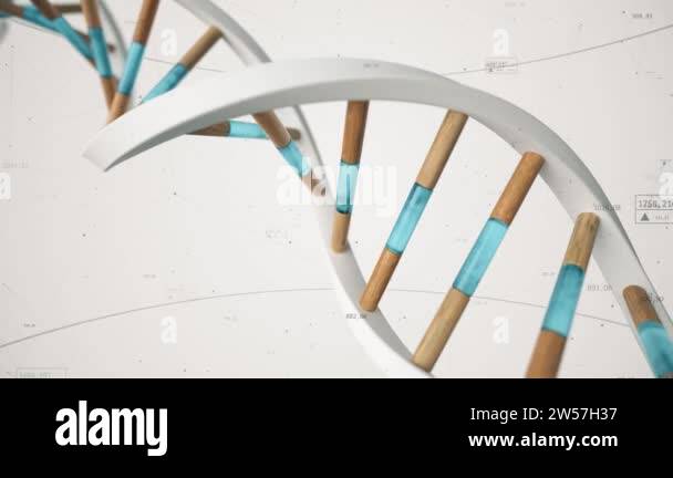 The structure of the human DNA rotates against the background of ...