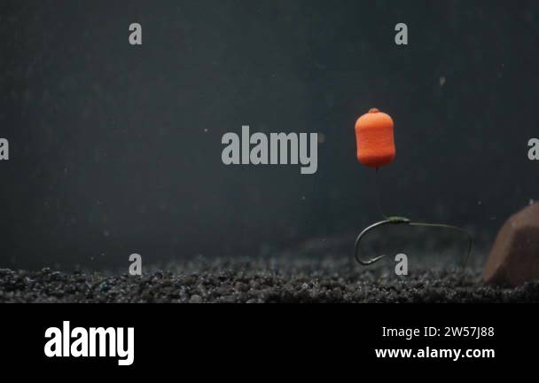Flat feeder Stock Videos & Footage - HD and 4K Video Clips - Alamy