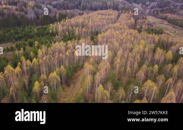 Adirondack forest fall view Stock Videos & Footage - HD and 4K Video ...