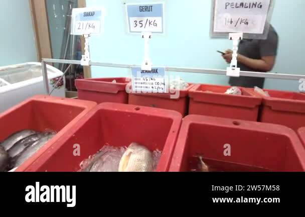 Fish prices Stock Videos & Footage - HD and 4K Video Clips - Alamy