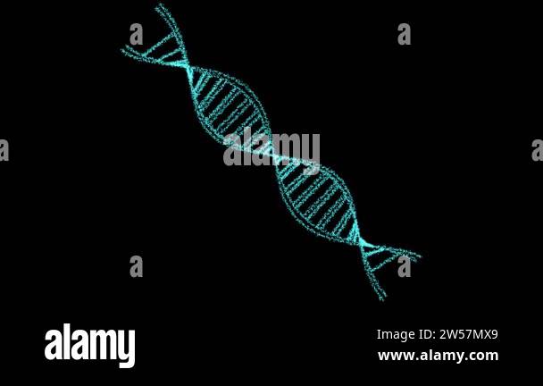 DNA digital structure science biotechnology animation 3D rotate on ...