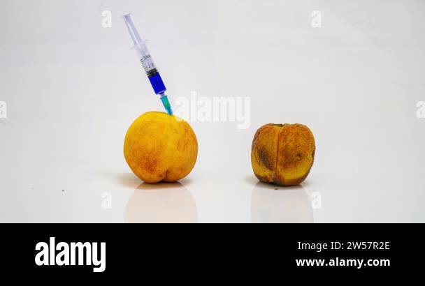 Peach rotting time lapse, the concept of plant ginetic modification ...