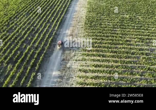 Tractor between rows of vineyards. Tractor movement in the rows of ...