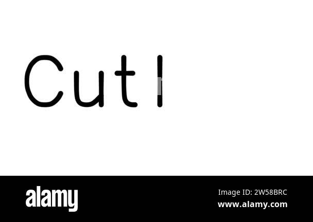 Cutlery Handwritten Text Animation in Various Sans-Serif Fonts and ...