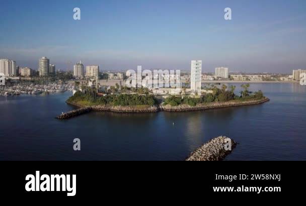 Offshore trees Stock Videos & Footage - HD and 4K Video Clips - Alamy