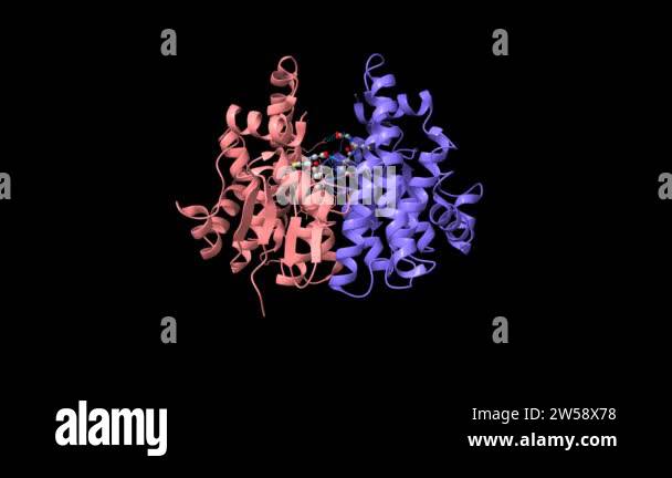 Crystal structure of human glutathione transferase (GST) A1-1 in ...