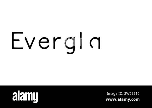 Everglades Handwritten Text Animation in Various Sans-Serif Fonts and ...