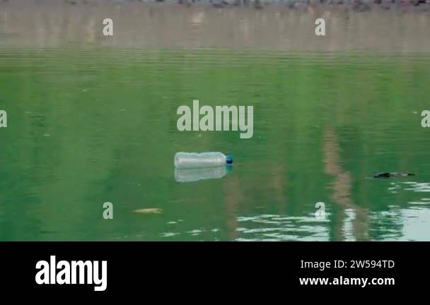 Water contaminated by careless people throwing plastic bottles and ...