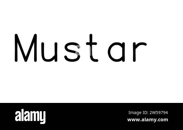 Mustang Handwritten Text Animation in Various Sans-Serif Fonts and ...