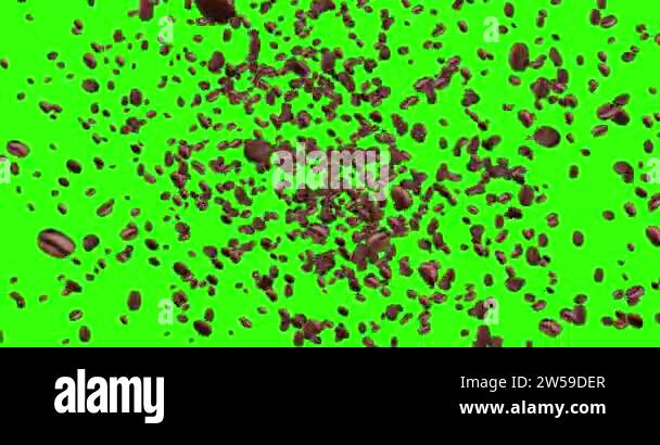 digital animation coffee beans flying in vortex on green screen chroma ...