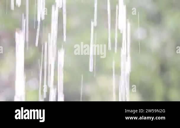 Heavy monsoon rainfall in Western Ghats,Wayanad, Kerala, with ambient ...