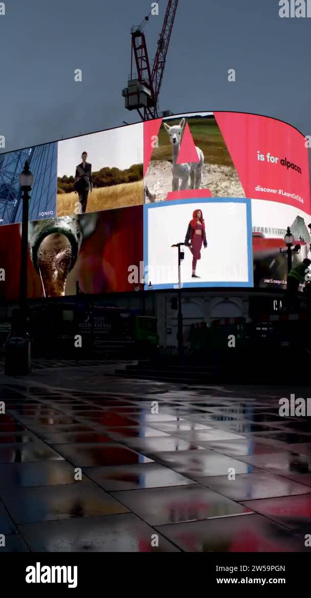 Illuminated advertising vertical Stock Videos & Footage - HD and 4K ...