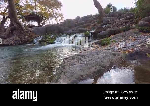 Waterfall among trees moss Stock Videos & Footage - HD and 4K Video ...