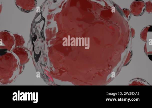 3D animation of a human stem cell subjected to nano-needle aspiration ...