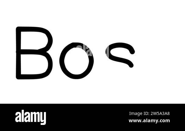 Boss Handwritten Text Animation in Various Sans-Serif Fonts and Weights ...