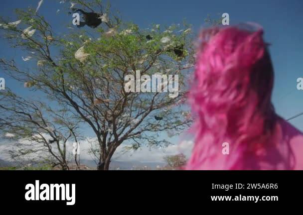 Pink pollution Stock Videos & Footage - HD and 4K Video Clips - Alamy