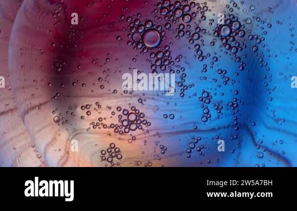 Life under a microscope Stock Videos & Footage - HD and 4K Video Clips ...