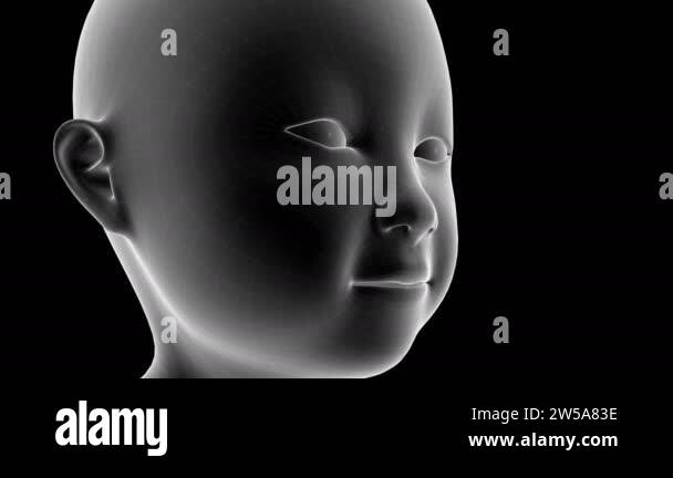Nose anatomy xray Stock Videos & Footage - HD and 4K Video Clips - Alamy