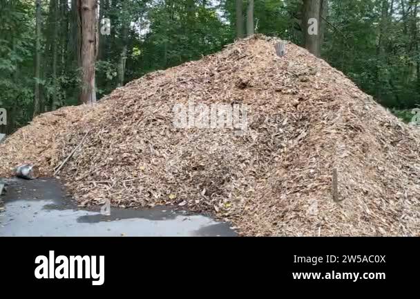 Sawdust wood in pile Stock Videos & Footage - HD and 4K Video Clips - Alamy