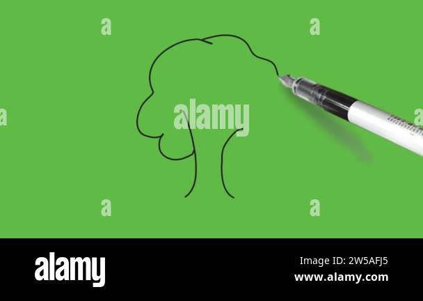 Drawing huge green tree with brown stem and black outline on abstract ...