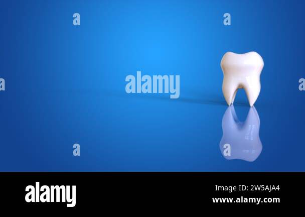 tooth cycle animation Stock Video Footage - Alamy