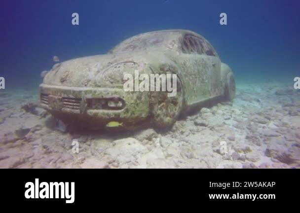 Musa museum in cancun mexico Stock Videos & Footage - HD and 4K Video ...