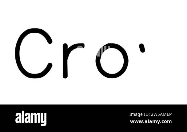 Crow Handwritten Text Animation in Various Sans-Serif Fonts and Weights ...