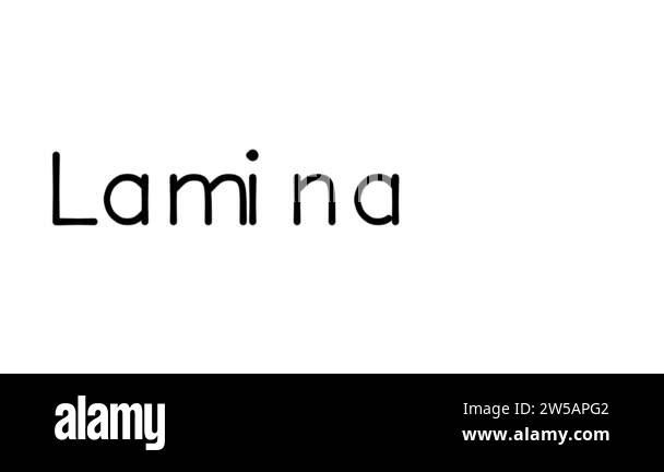 Lamination Handwritten Text Animation in Various Sans-Serif Fonts and ...