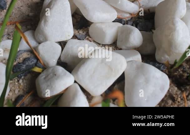 Tongue stones Stock Videos & Footage - HD and 4K Video Clips - Alamy