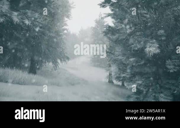 Winter snowfall in the forest, gentle lovely snowy Christmas morning ...