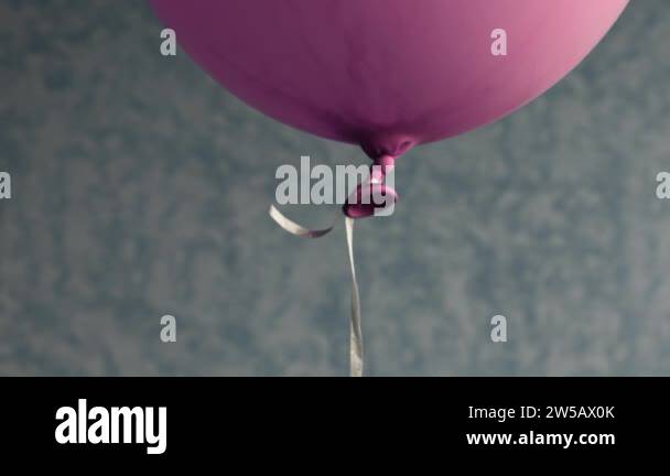 Magenta color helium balloon floating at blurred background with copy ...
