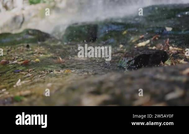 Raindrops, waterfall on stones, rain drops fall to the ground. Water is ...