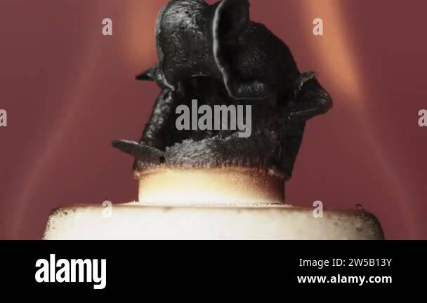 Pharaoh Snake. A Chemical Experiment of Heating Calcium Gluconate on ...