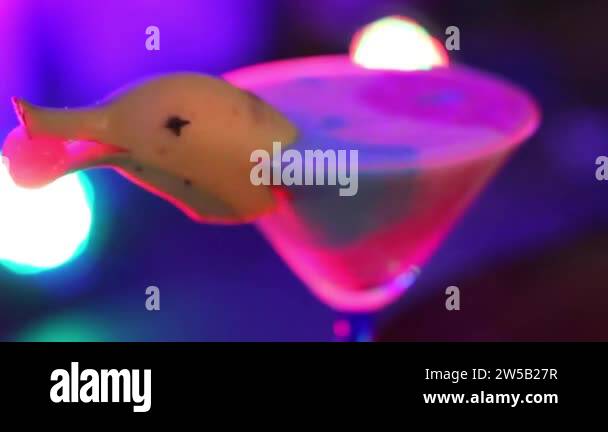 Duck ray Stock Videos & Footage - HD and 4K Video Clips - Alamy