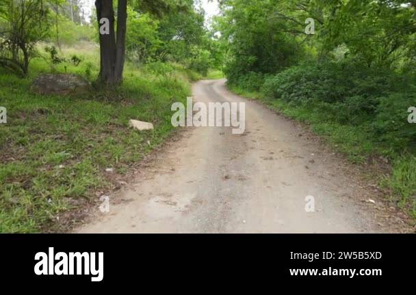 Pathway into nature Stock Videos & Footage - HD and 4K Video Clips - Alamy