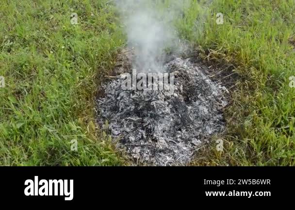 A bonfire with dry plants is burning on a land plot with fire and smoke ...