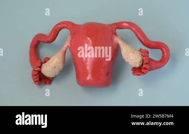 Pharmaceutical pills and capsules falling from above on anatomical ...