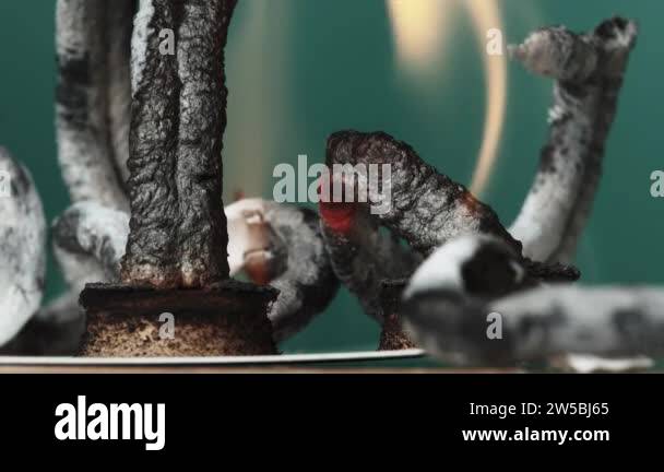 Pharaoh Snake. A Chemical Experiment of Heating Calcium Gluconate on ...