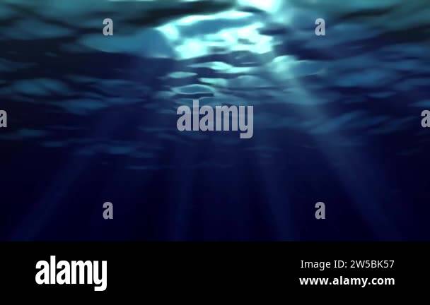 Blurry fish Stock Videos & Footage - HD and 4K Video Clips - Alamy