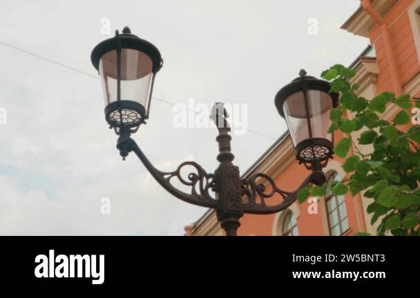 Street execution Stock Videos & Footage - HD and 4K Video Clips - Alamy