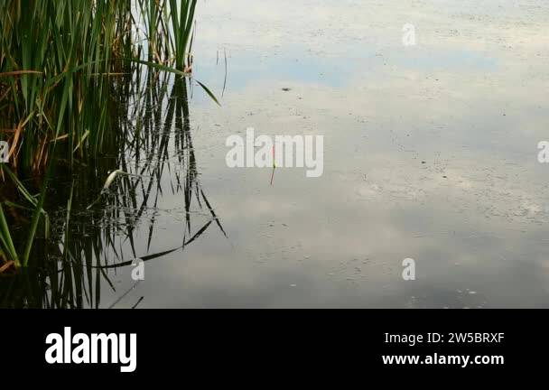 Two floats Stock Videos & Footage - HD and 4K Video Clips - Alamy