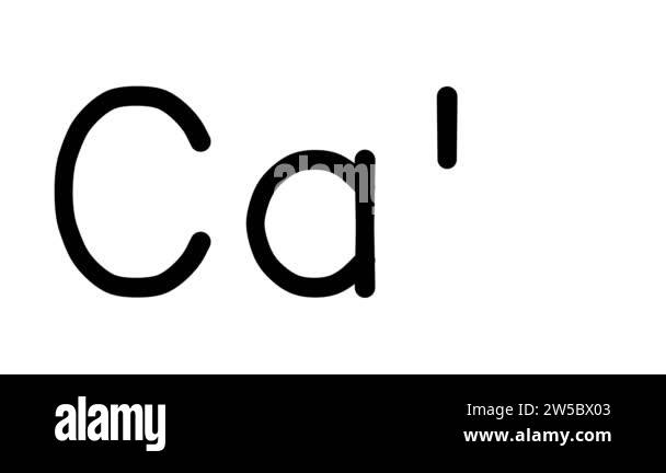 Calf Handwritten Text Animation in Various Sans-Serif Fonts and Weights ...