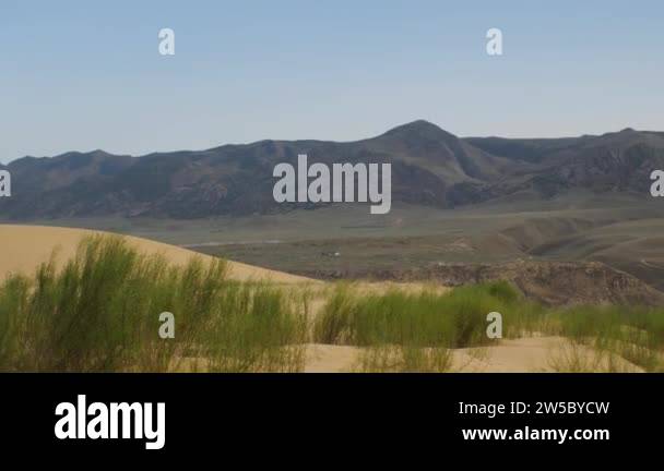 Desert shrubs foreground Stock Videos & Footage - HD and 4K Video Clips ...