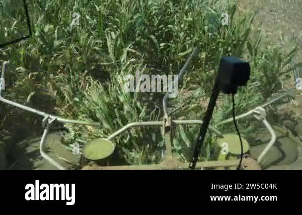 Cheery gathering Stock Videos & Footage - HD and 4K Video Clips - Alamy